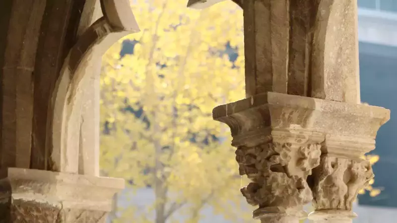 University of Girona > UdG