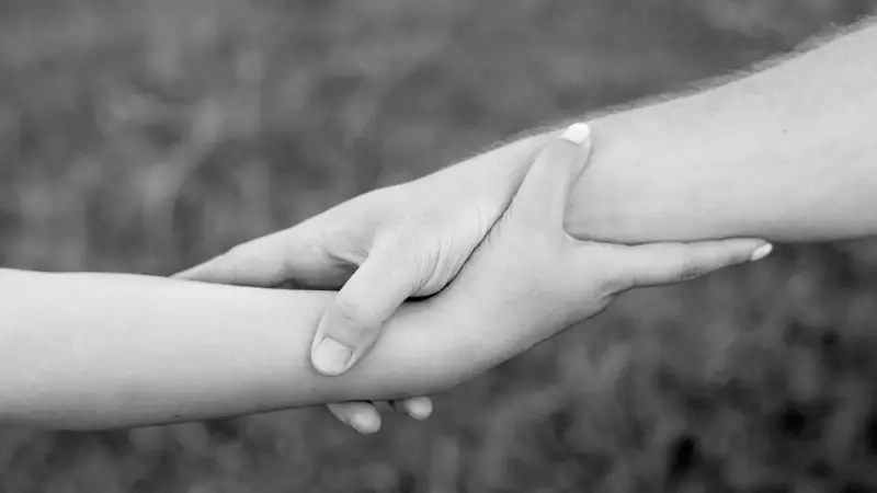 University of Girona > UdG