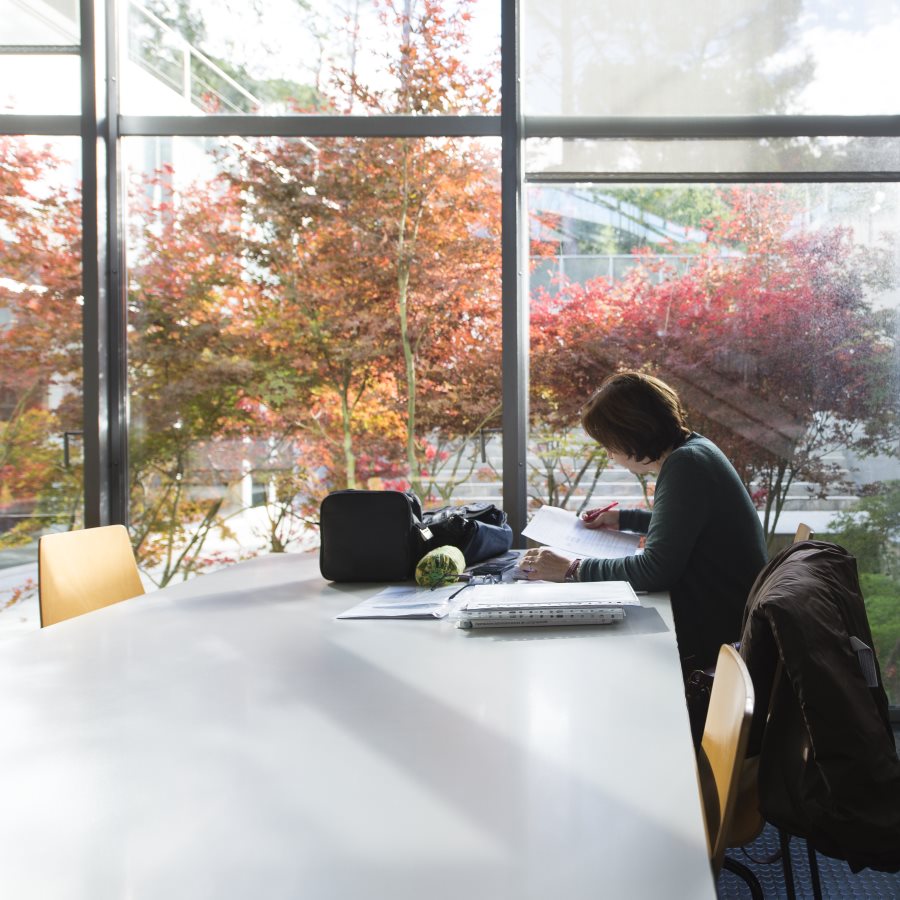 Life at the UdG > Library